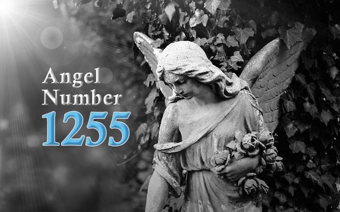 1255 Angel Number Meaning, Symbolism and Its Secret (2023)